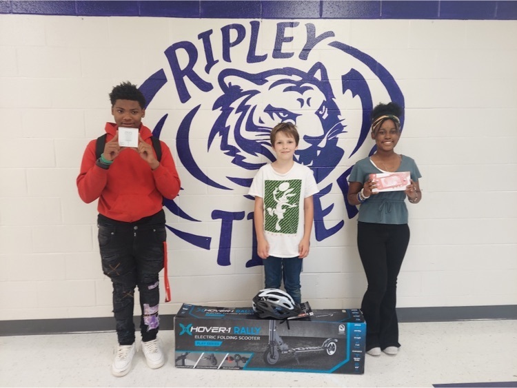 Live Feed | Ripley Middle School