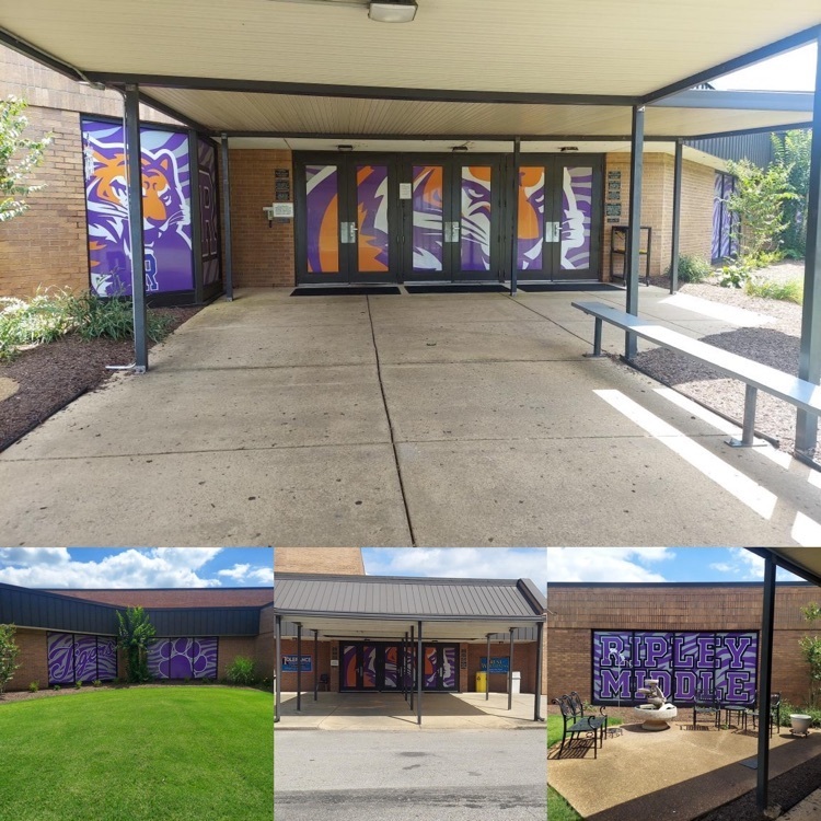 Live Feed | Ripley Middle School